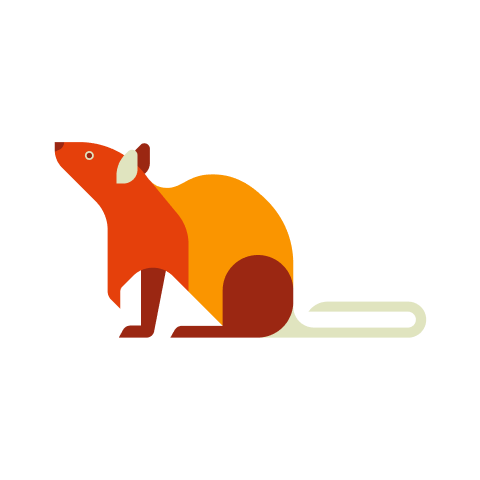 Year of the Monkey: Fortune, Personality, Horoscope (2025)