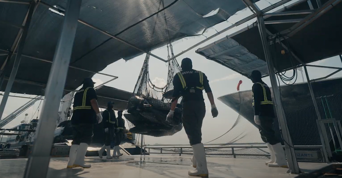 Shutterstock Studios Portfolio | Lenovo - Tech@Heart S2