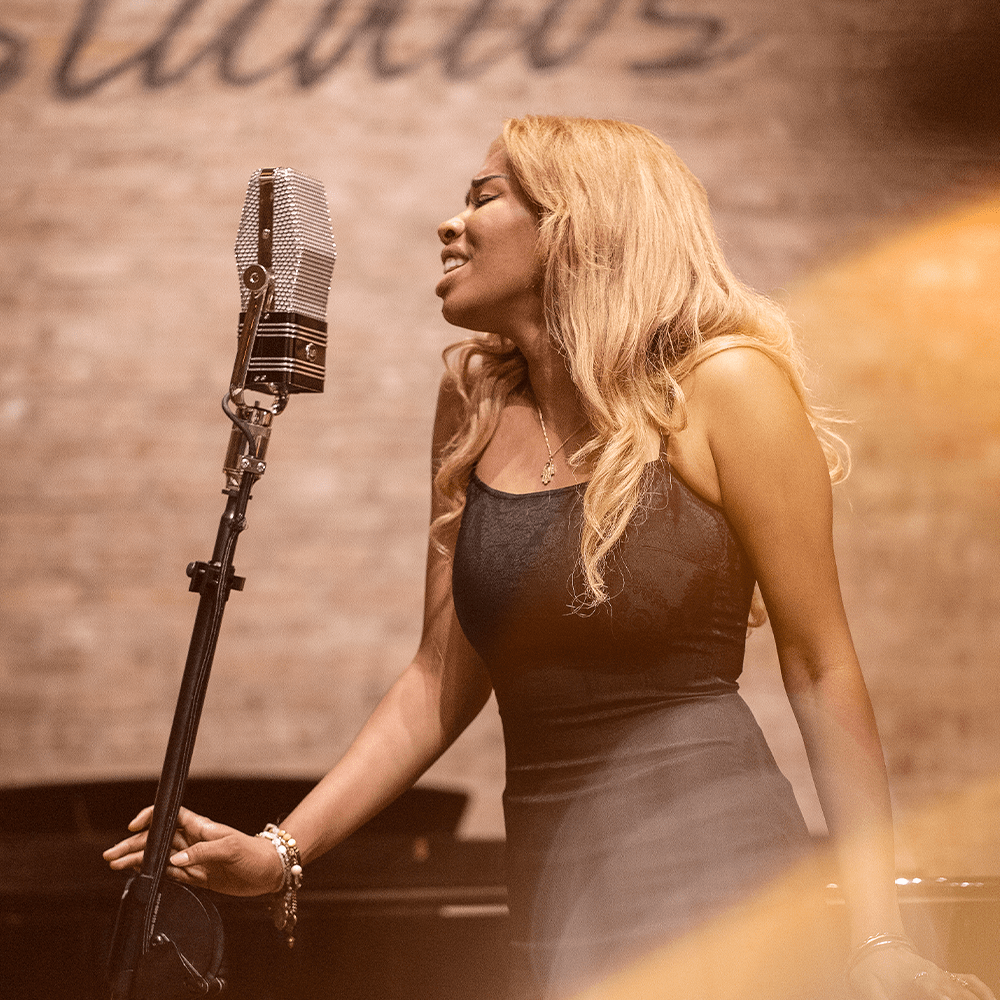 Warm Audio WA-44 RCA-44-Style Ribbon Microphone