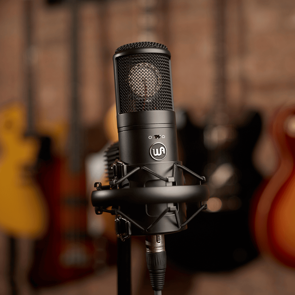 Warm Audio WA-8000 C800G Style Microphone