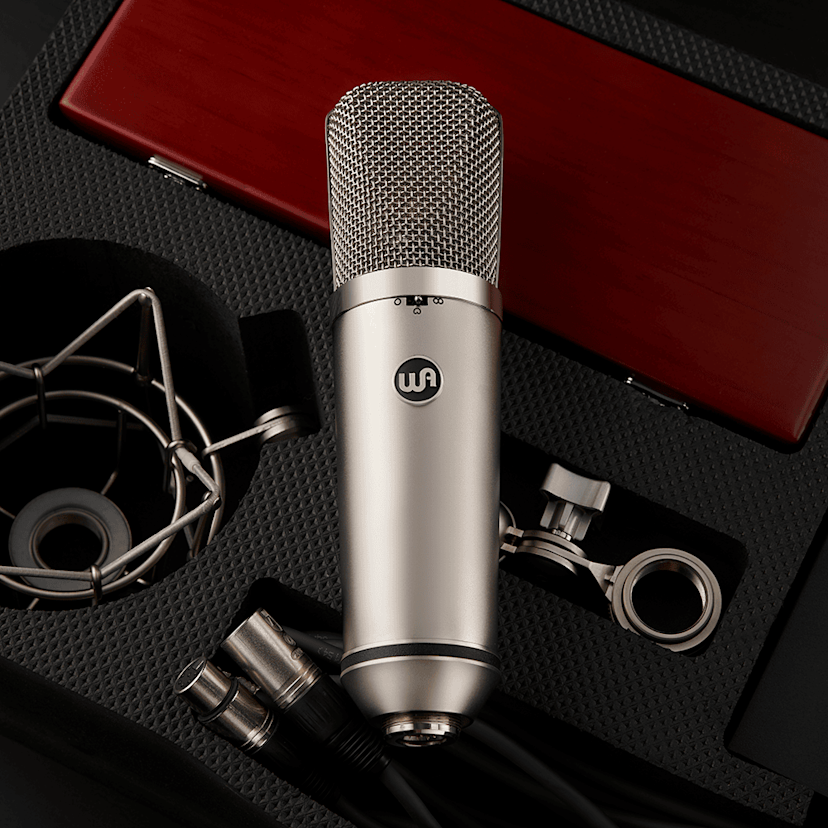Warm Audio WA-67 U67 Style Microphone