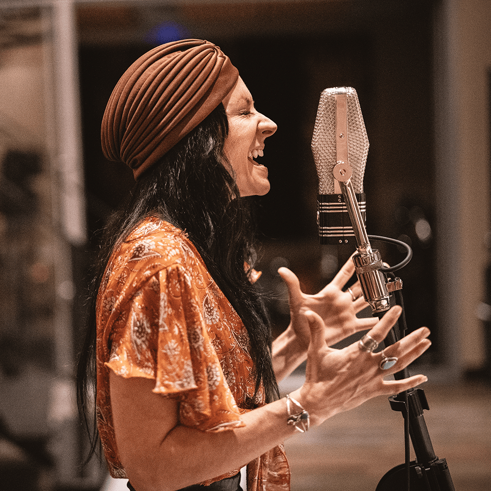 Warm Audio WA-44 RCA-44-Style Ribbon Microphone