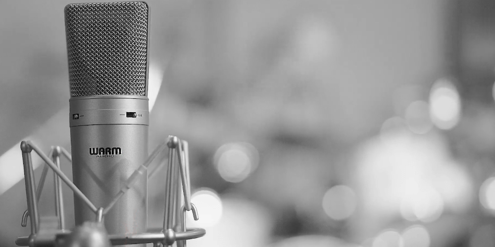 WA-87 Makes Sweetwater's 10 Best Vocal Mics Under $1000 | Warm Audio Blog