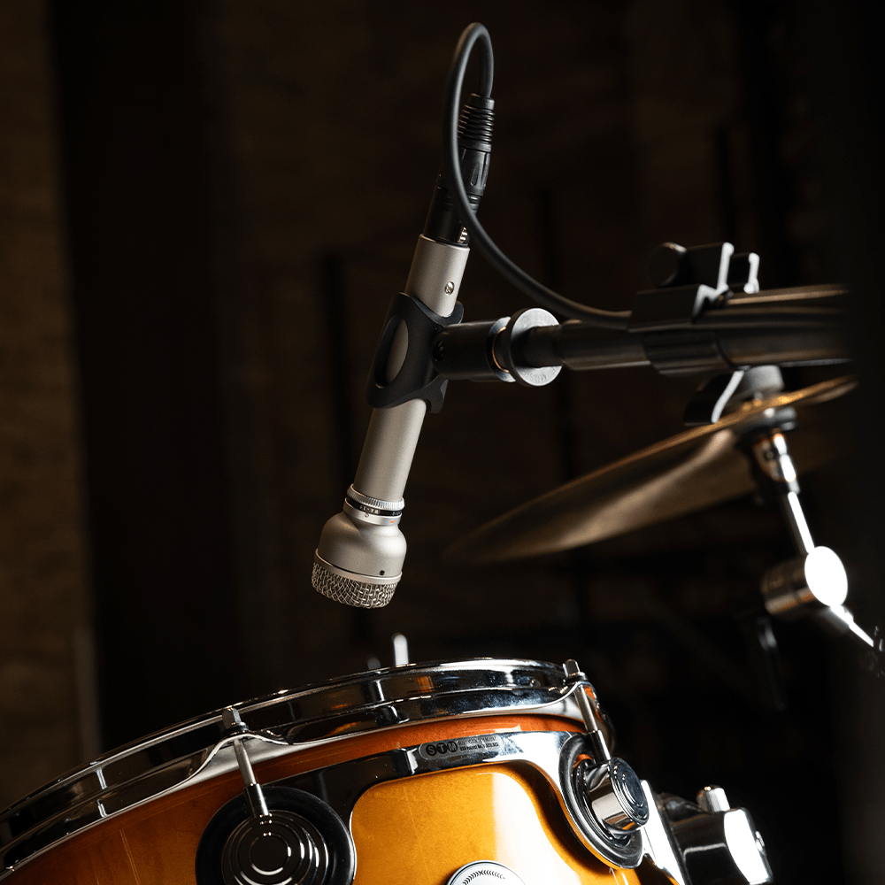 Warm Audio WA-19 AKG D19-Style Microphone