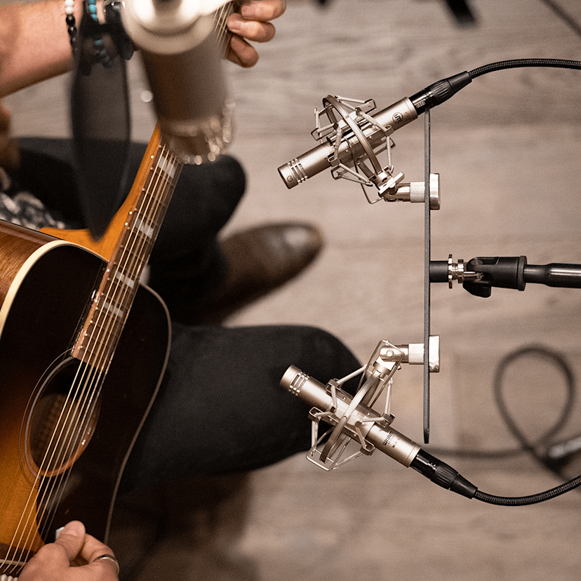 Warm Audio WA-84 KM84-Style Microphone