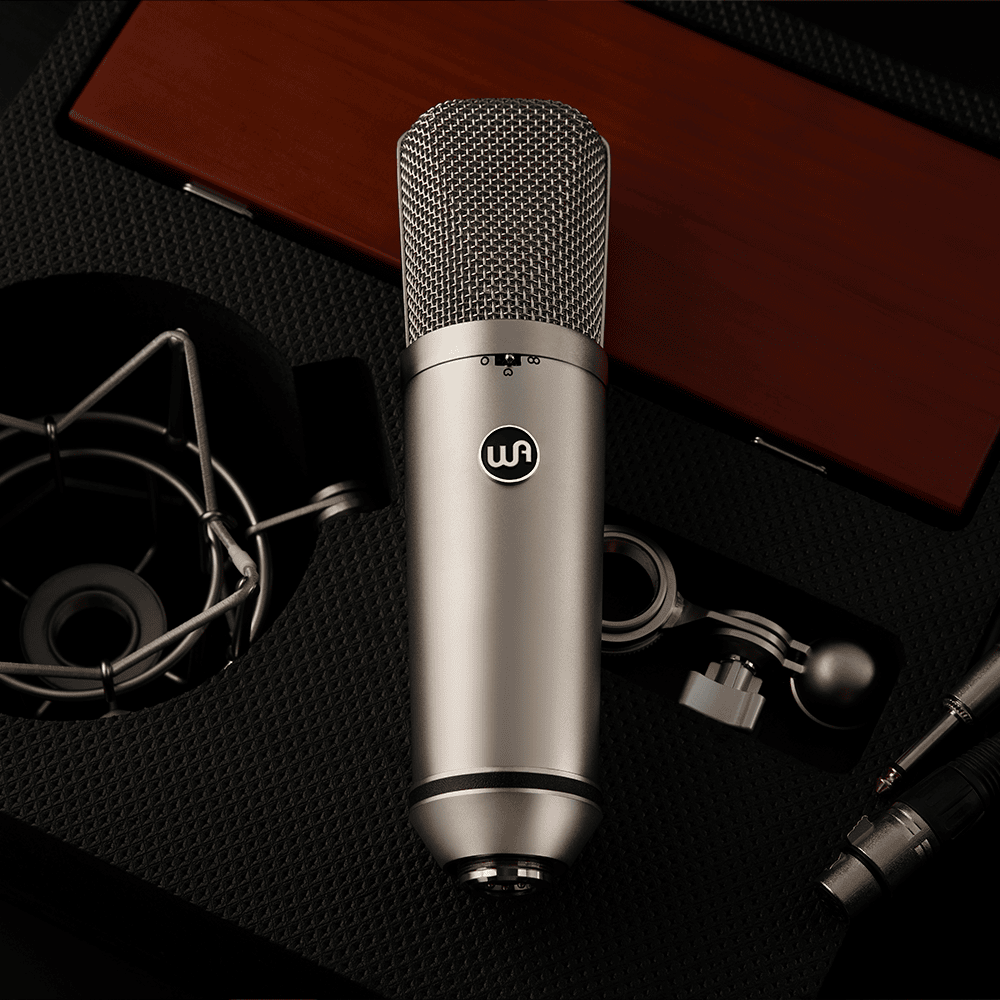 Warm Audio WA-87 U87 Style Microphone