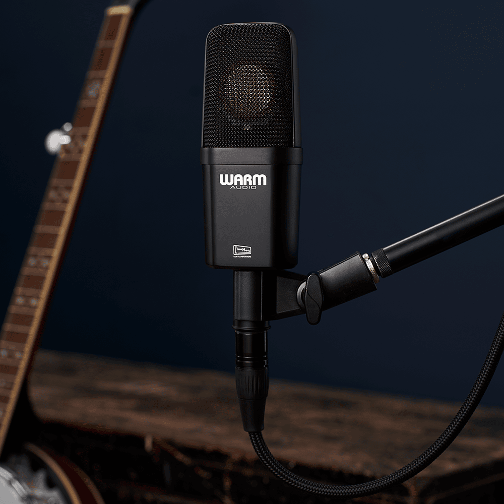 Warm Audio WA-14 C414-Style Microphone In Single And Stereo Pairs