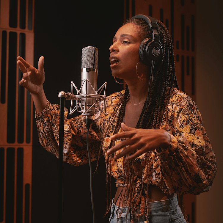 Warm Audio WA-67 U67 Style Microphone