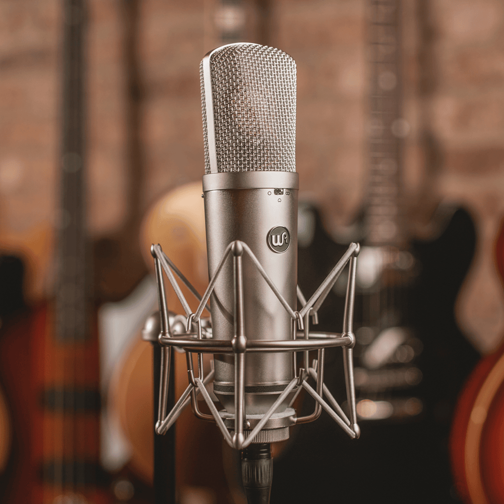 Warm Audio WA-87 U87 Style Microphone