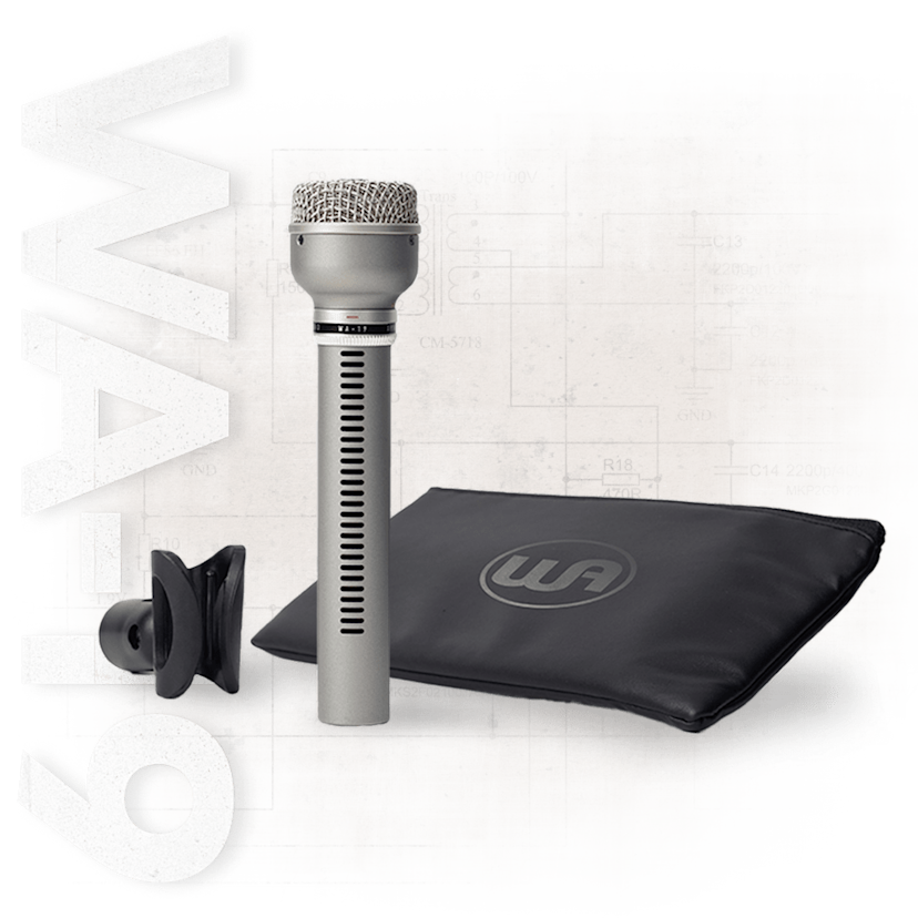 Warm Audio WA-19 AKG D19-Style Microphone