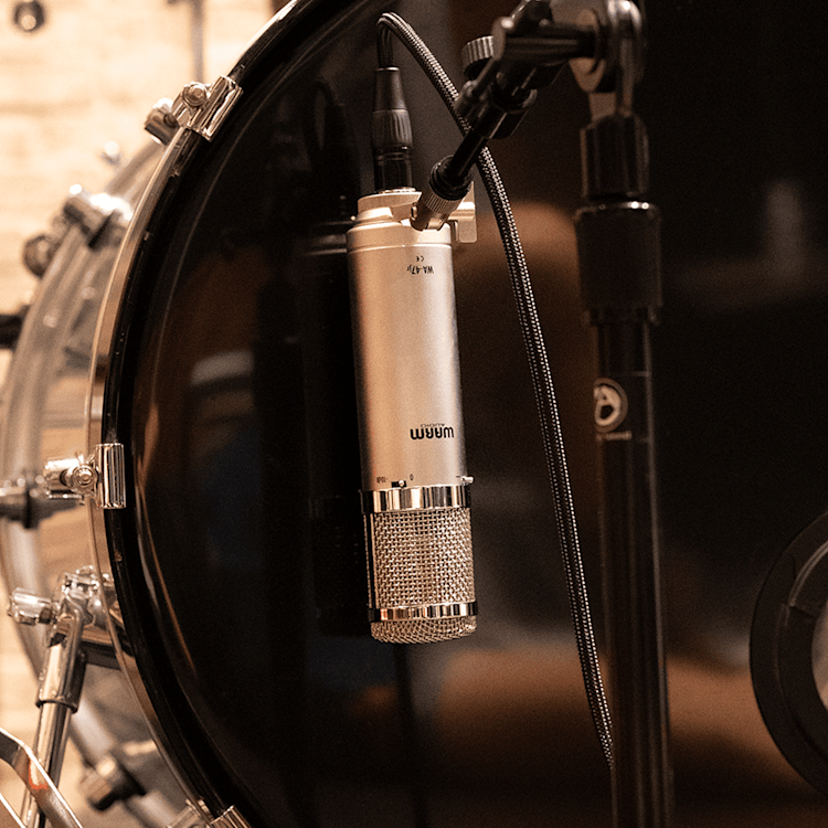 Warm Audio WA-47jr Professional Microphone