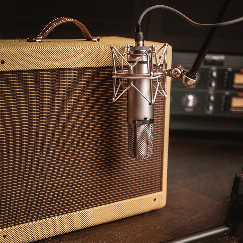 Warm Audio WA-67 U67 Style Microphone