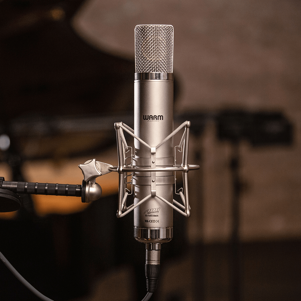Warm Audio WA-CX12 C12-Style Microphone