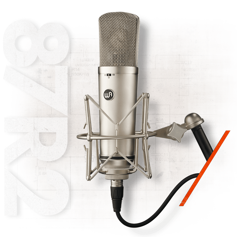 Warm Audio WA-87 U87 Style Microphone