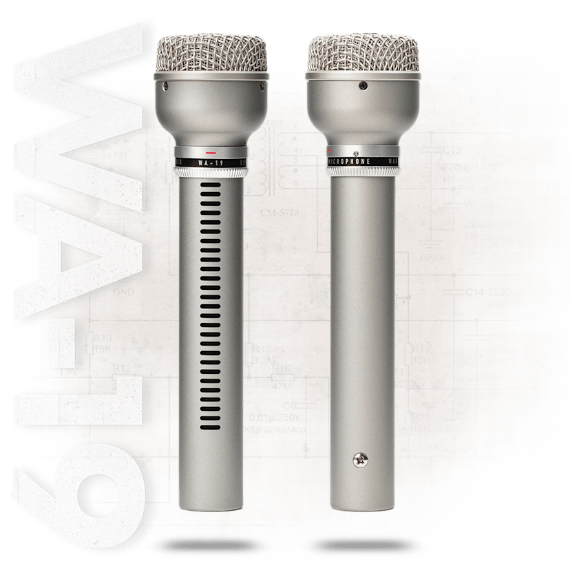 Warm Audio WA-19 AKG D19-Style Microphone