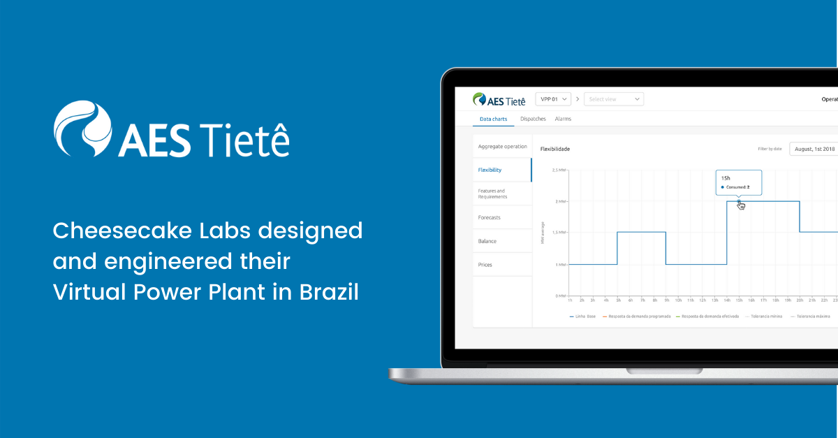 Case Study: AES Corporation - Virtual Power Plant | Cheesecake Labs