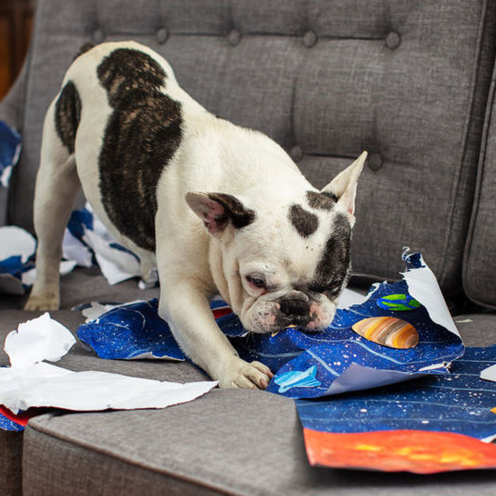 HP Brings Instant Ink Closer To Their Audience | Pinterest Business