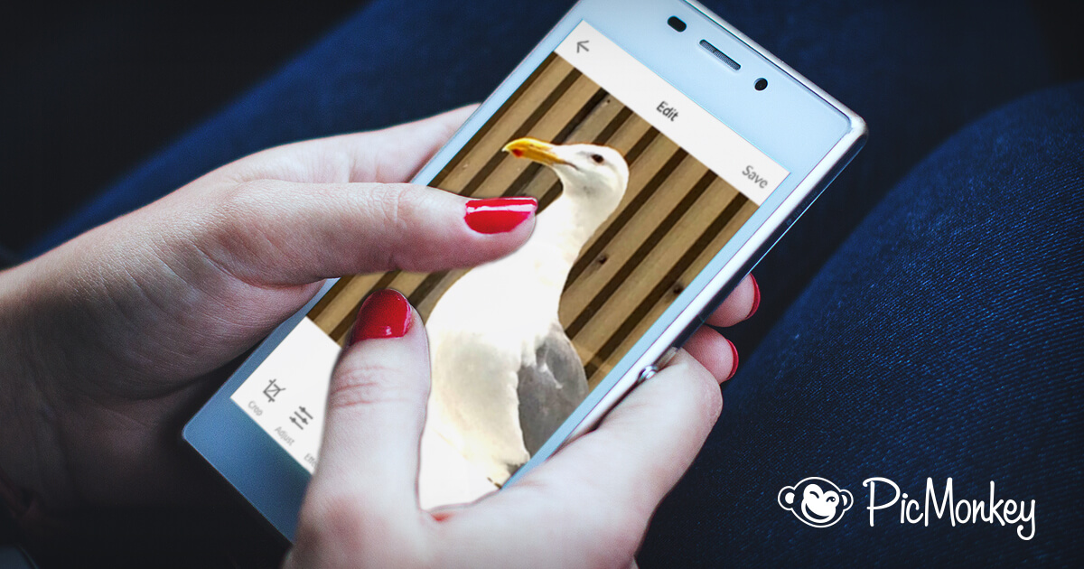 10 PicMonkey Mobile App Tips and Tricks You Wanna Know | PicMonkey