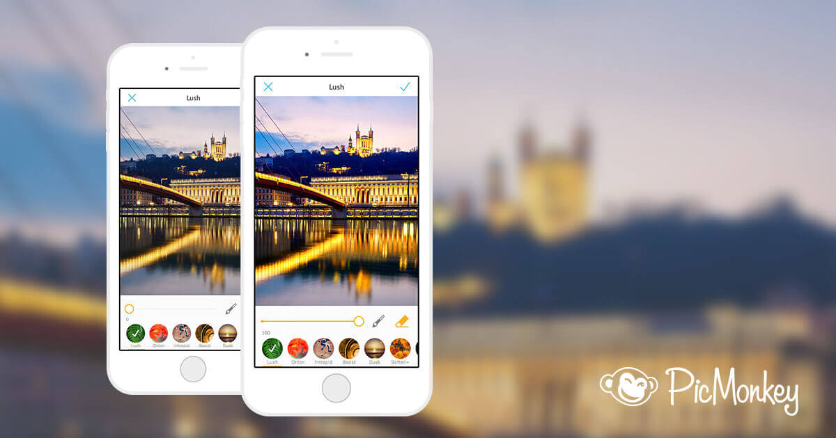 Free Mobile Photo Editing and Effects | PicMonkey Mobile App