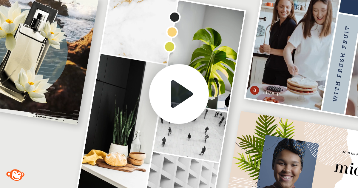 How to Make a Video Collage | Tools & Instructions | PicMonkey