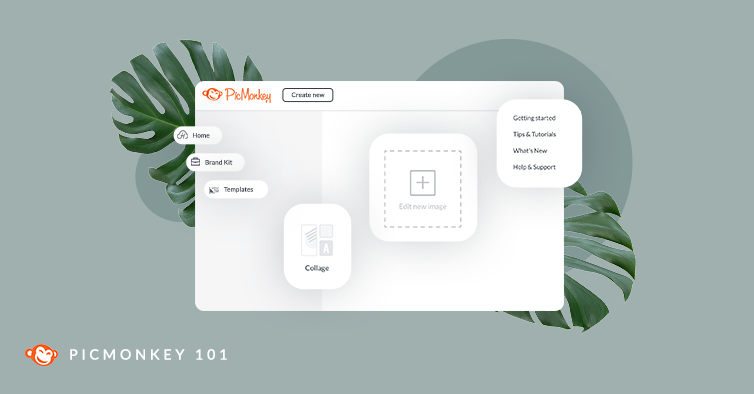 PicMonkey Tips & Tutorials