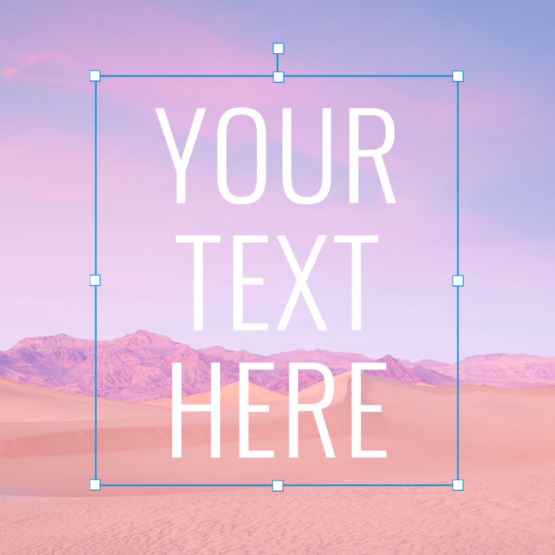 Getting Started with PicMonkey | PicMonkey