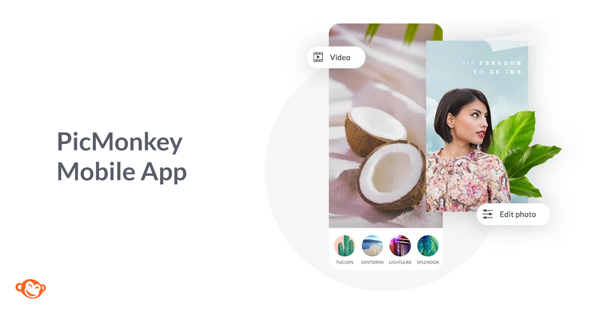 Picmonkey Photo Editor