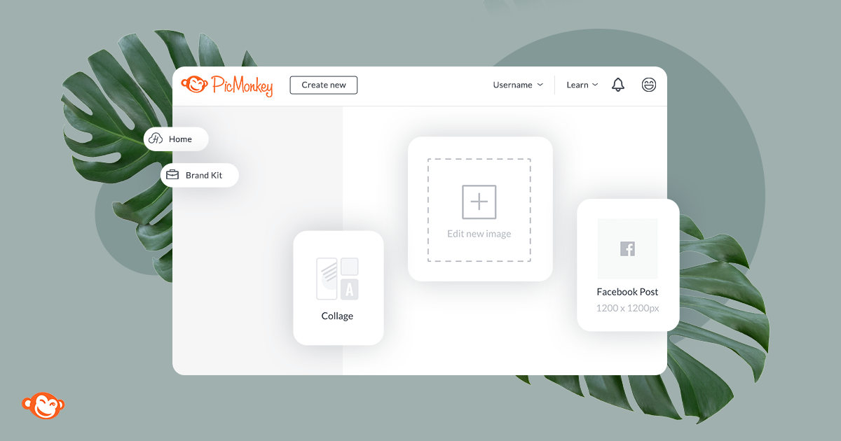PicMonkey 101 | Video Tutorials to Get You Started | PicMonkey