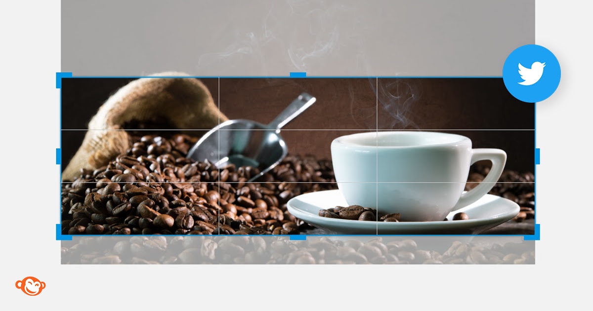 Twitter Header Size | Design Tips | PicMonkey