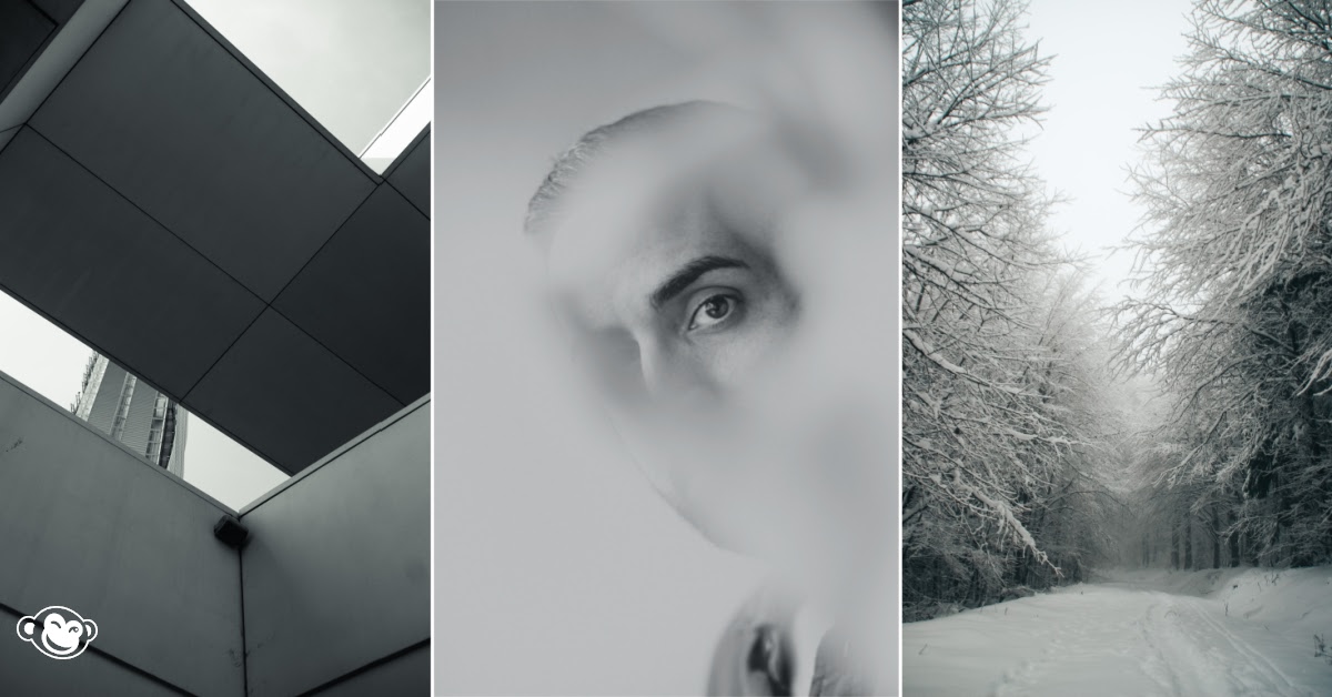 How to Use Monochromatic Colors | [ONLINE GUIDE] | PicMonkey