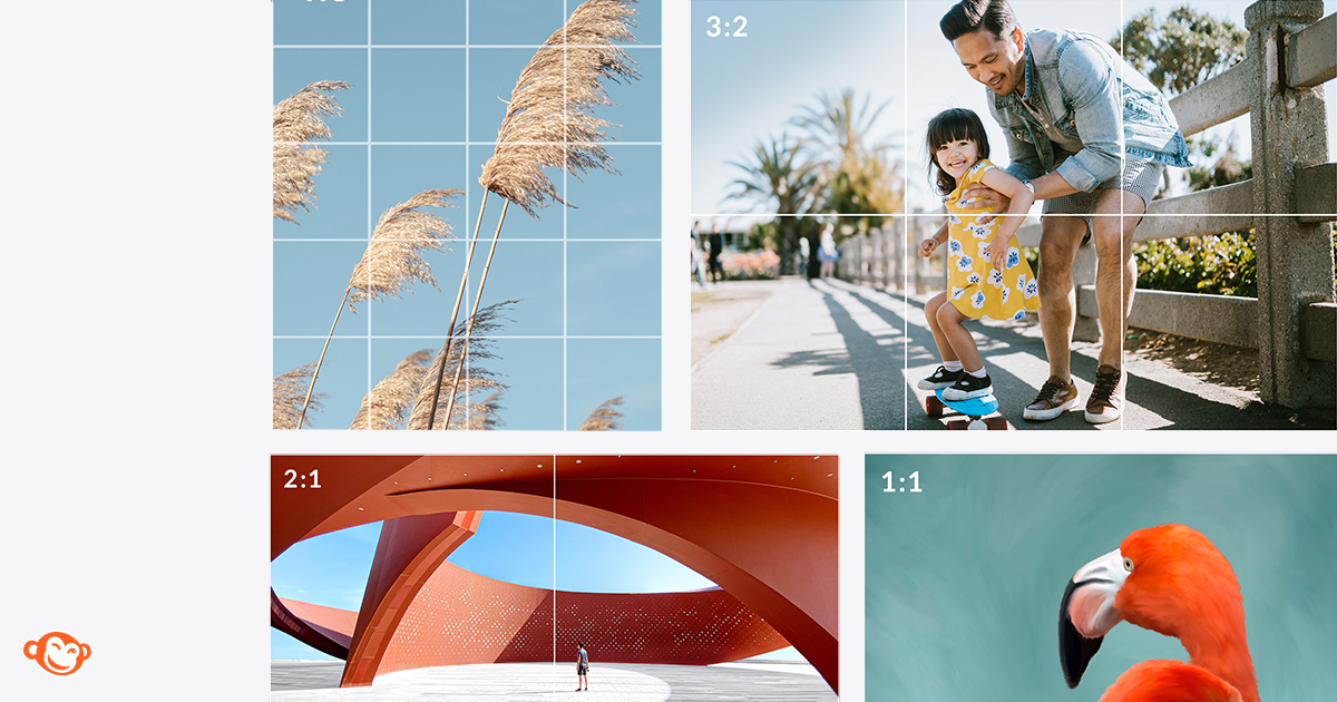Ask a Photo Nerd: What's Aspect Ratio? | PicMonkey Blog
