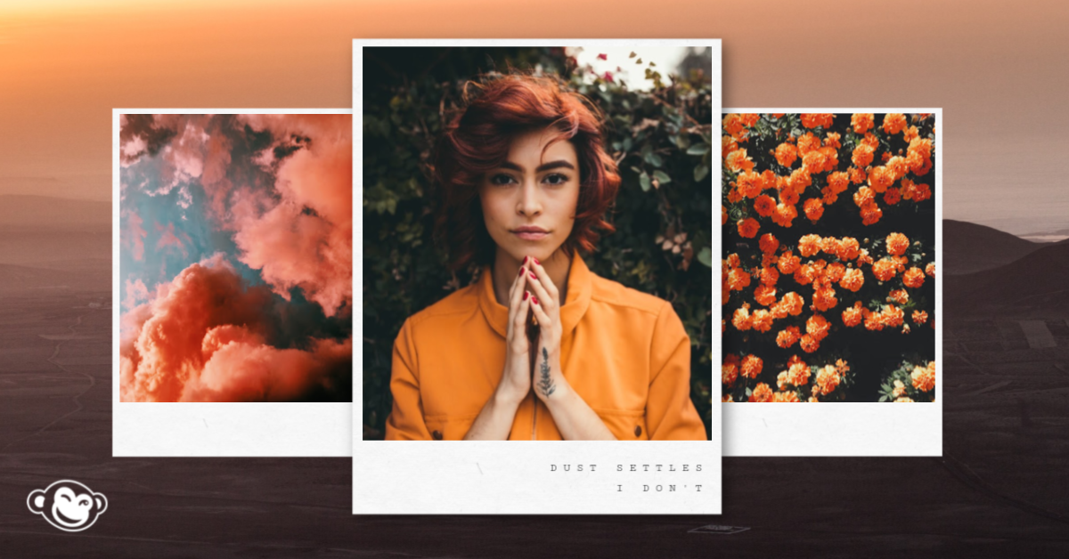 Free Stock Videos and Photos | PicMonkey | Stock Photo and Video Libraries