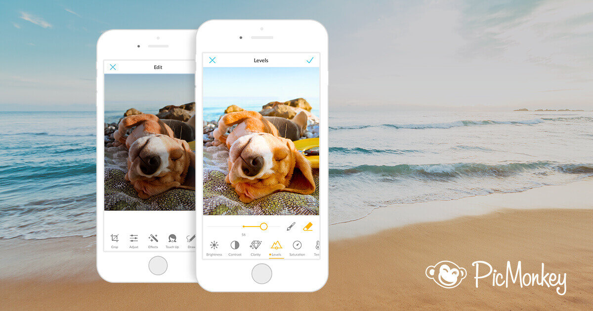 How to Brighten Photos | Brighten Photos Online | PicMonkey