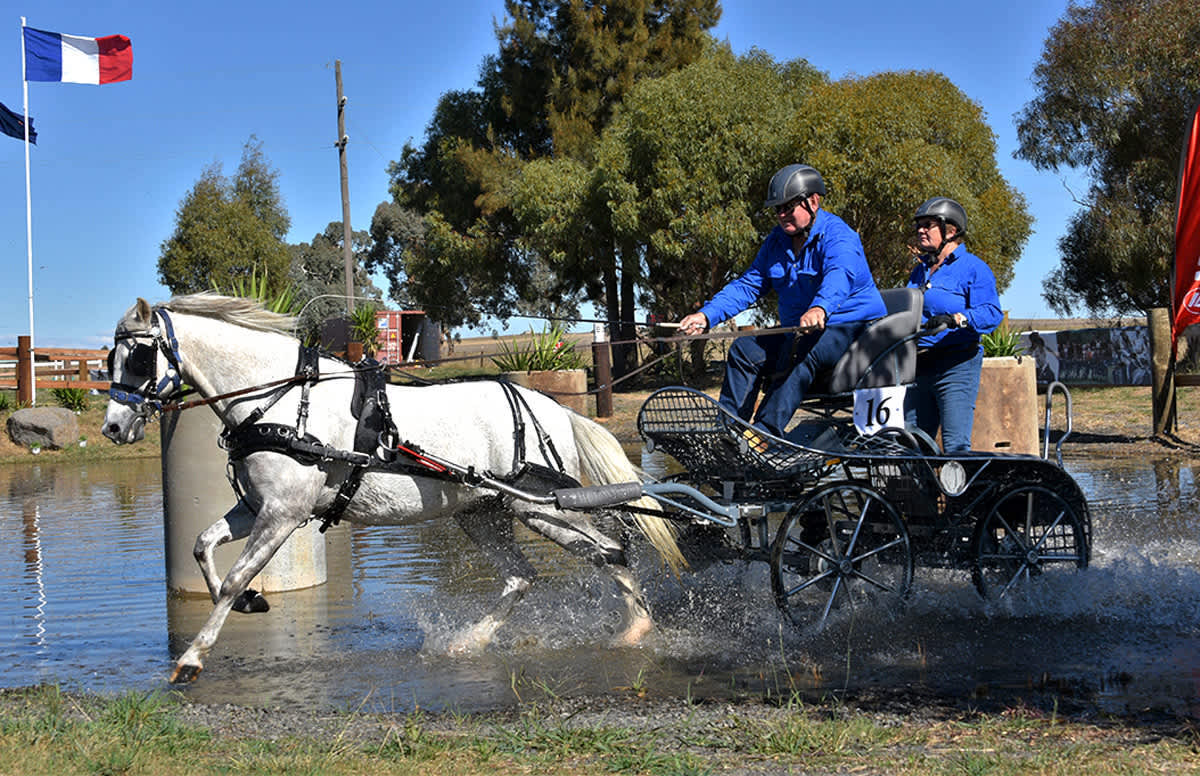 Australian Combined Driving Championships in Boorowa for Easter | The ...