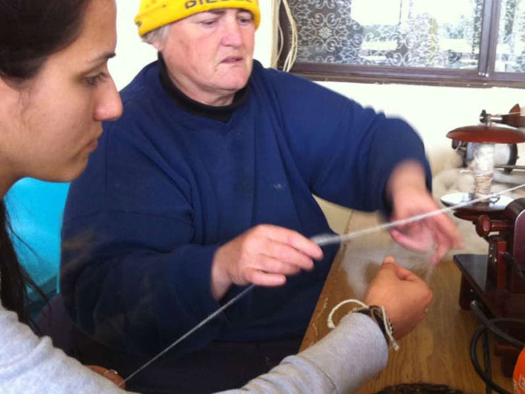 3 x 3hr Learning to Spin Alpaca Fleece Class | The Yass Phoenix - Yass ...