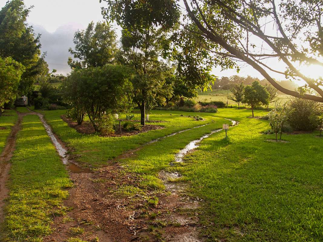 My Garden is Sodden – What Can I Do? | The Yass Phoenix - Yass Region ...