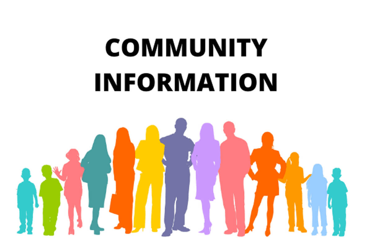 Wallaroo Solar Farm: Community Information Day | The Yass Phoenix ...