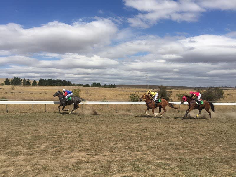 Yass Picnic Races | The Yass Phoenix - Yass Region News and Current Affairs