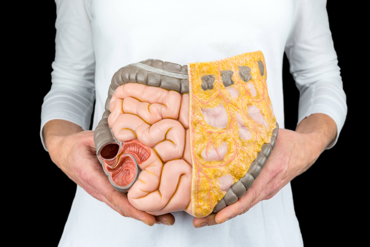 What is a Colonoscopy? | The Yass Phoenix - Yass Region News and ...