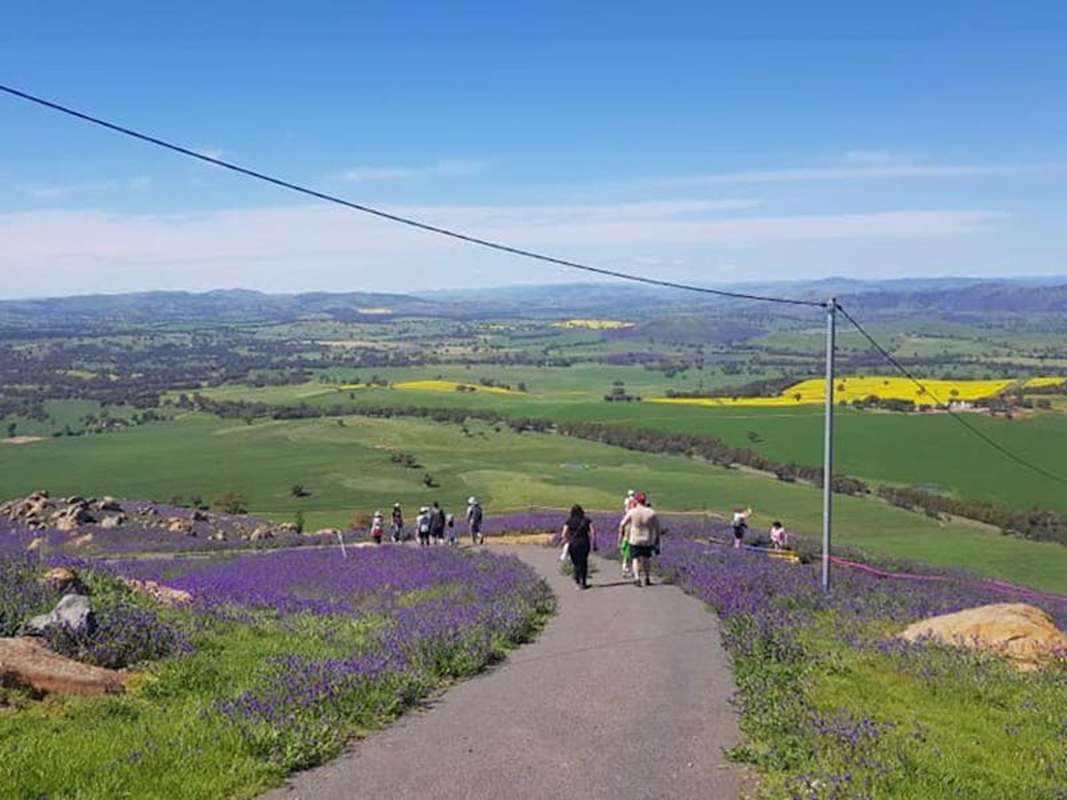 Bobbara Walk | The Yass Phoenix - Yass Region News and Current Affairs
