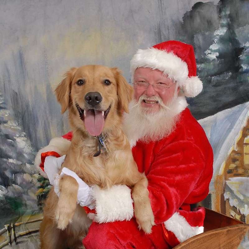 Santa Paws Photos at Yass Uniting Church | The Yass Phoenix - Yass ...