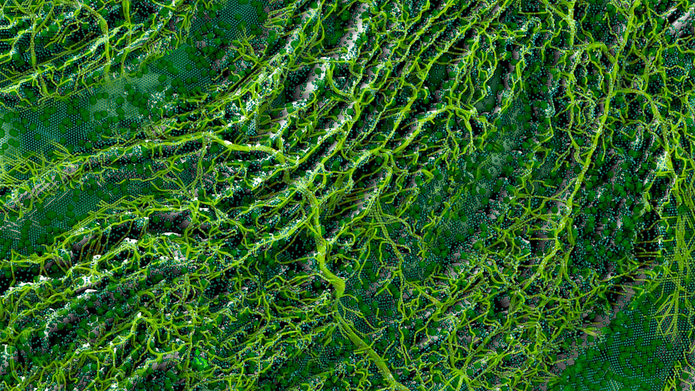 VoltaicEcotone