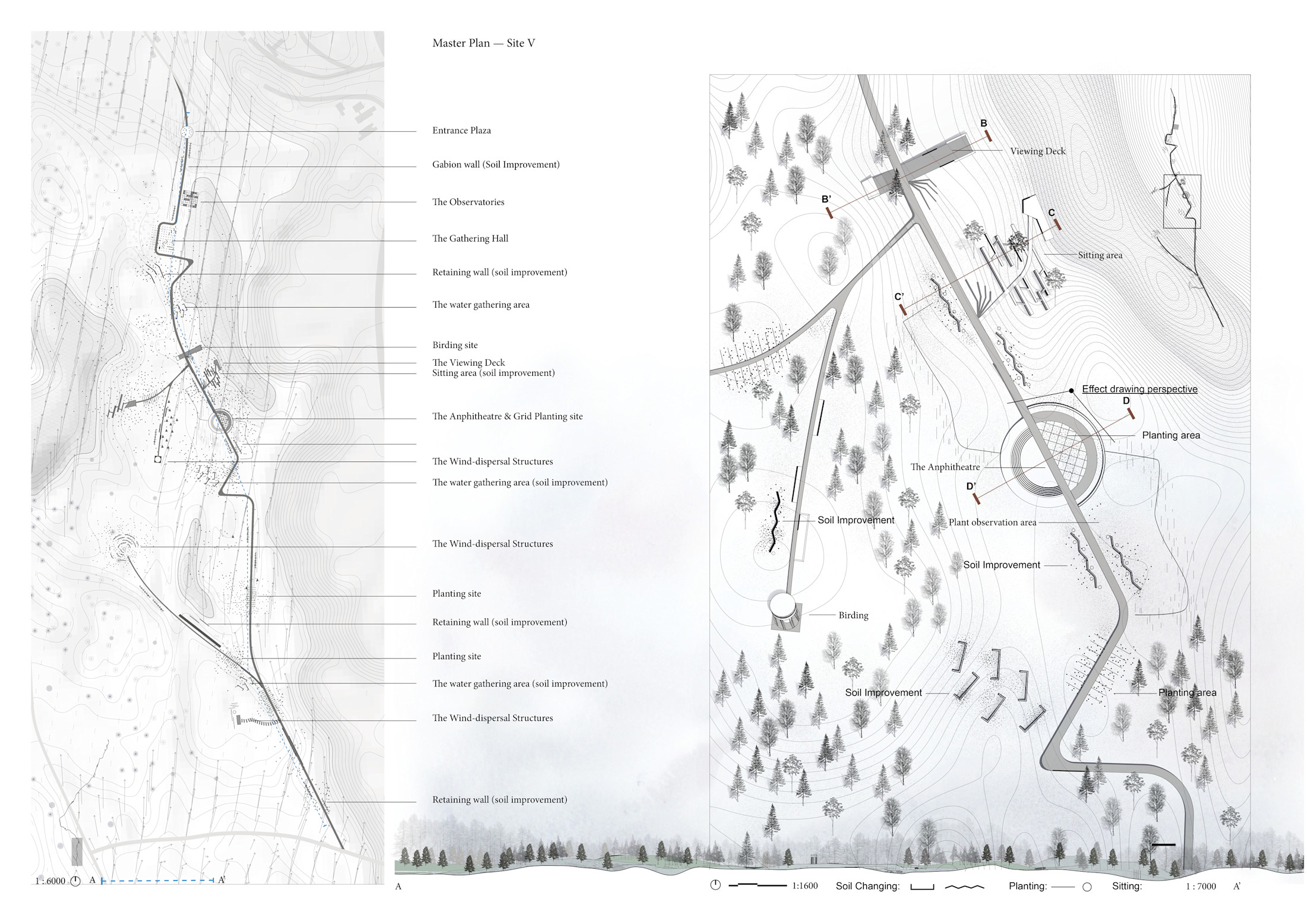 Rewilding a Mining Area