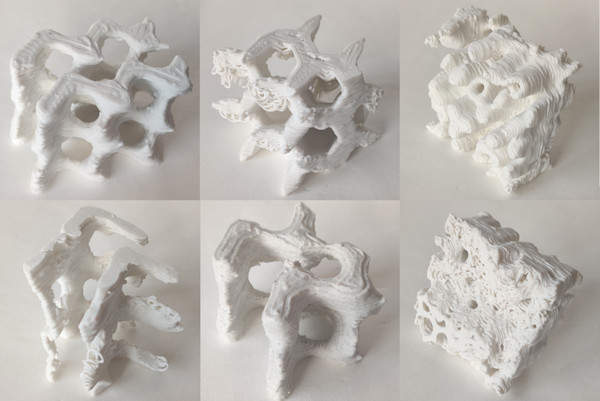 Vertical Ecologies – Bio Receptivity in High-Rise Buildings