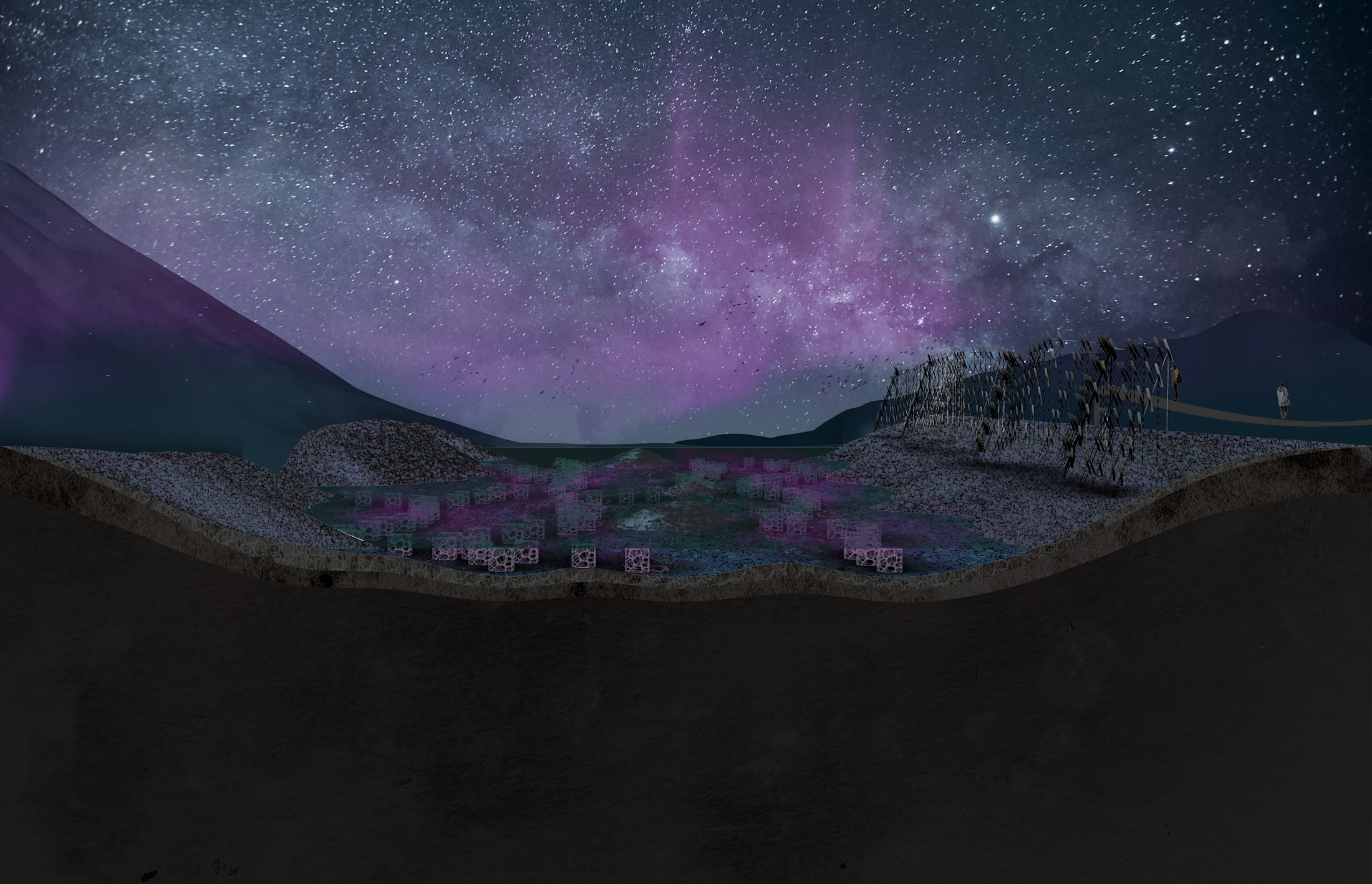 Diatom Park: Design for Diatoms and Humans