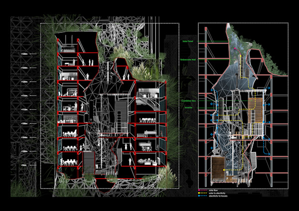 Forest Invasion Plan