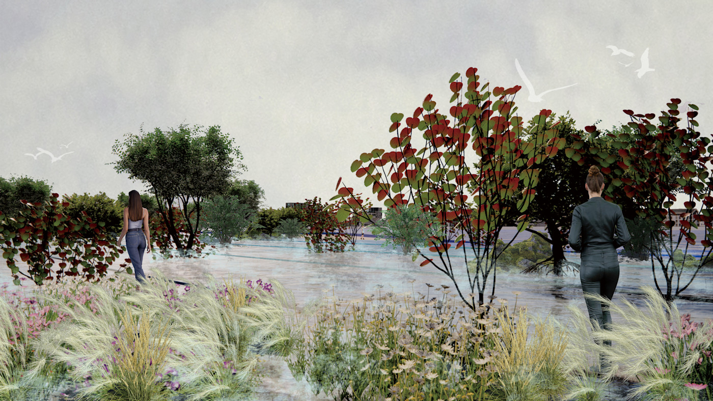 Plant-Based Water Filtration