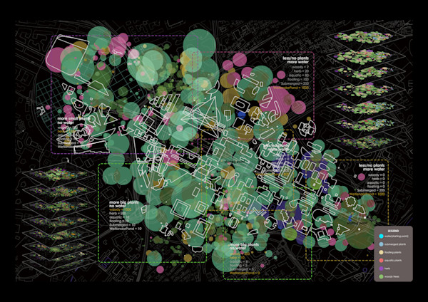 Forest Invasion Plan