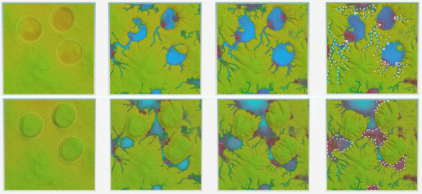 Reviving UK Wetlands: A Climate and Ecosystem Solution