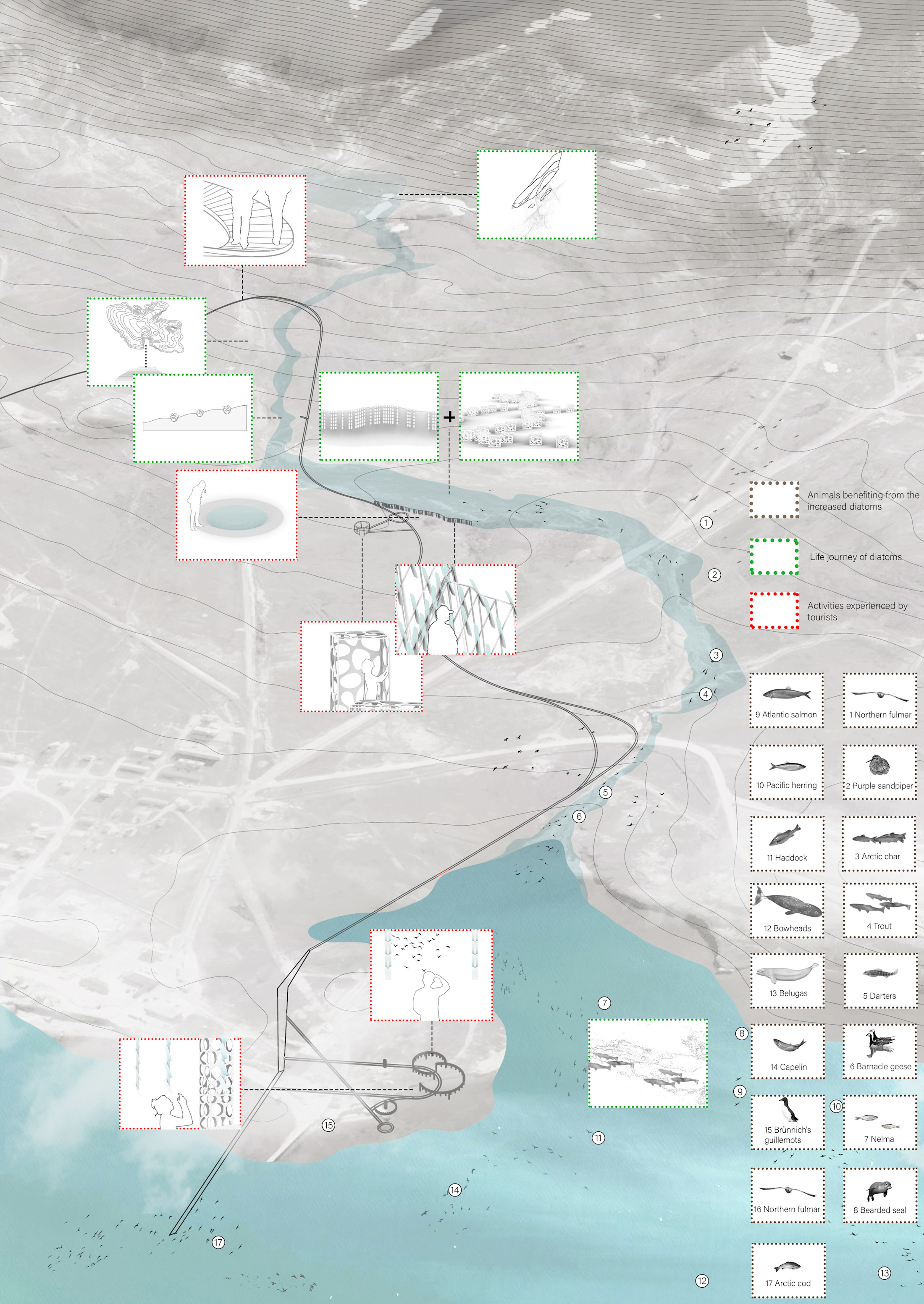 Diatom Park: Design for Diatoms and Humans